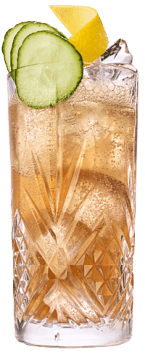 Best Gin Cocktail Recipes For Any Occasion | Hendrick's Gin